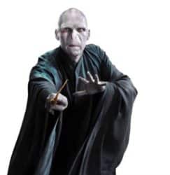 Harry Potter Lord Voldemort Lifesize Cardboard Cutout