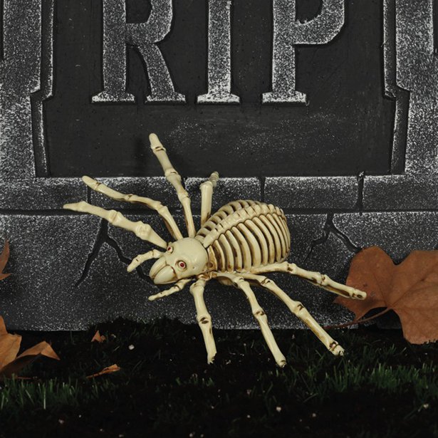 Spider Skeleton Decoration - Halloween Novelties - Next Day Delivery
